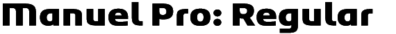 T.26 Digital Type Foundry | Fonts : Manuel Pro